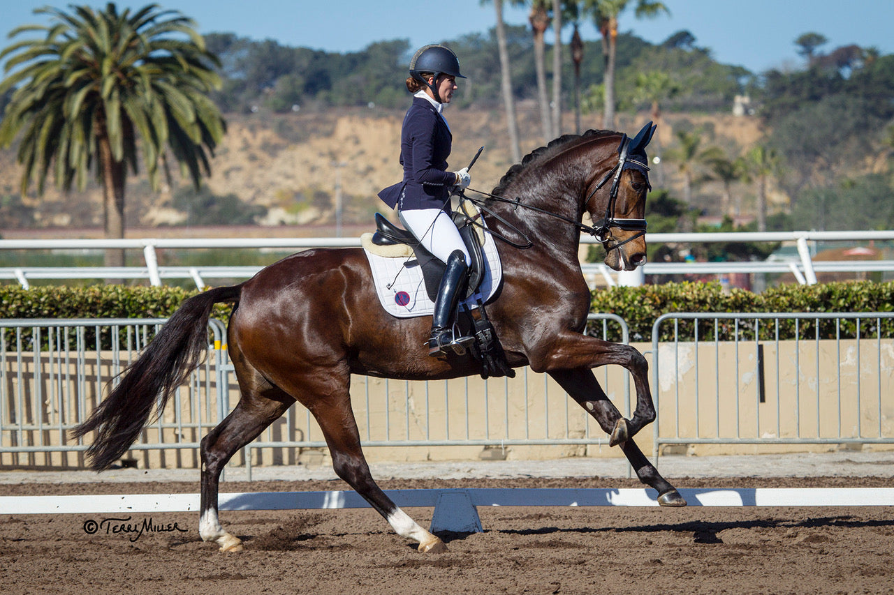 USDF Gold Medalist, Rebecca Rigdon Joins Nupafeed® Team – Nupafeed® USA